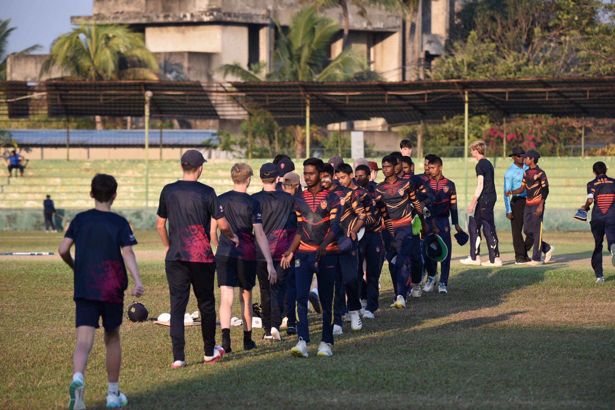 Somerset County Cricket Club | News and Updates